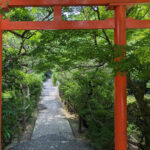 Kyoto: 100% Private Custom Walking Tour (4/8 Hrs) - What Makes This Tour Stand Out?