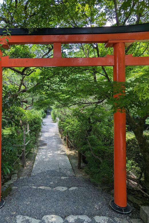 Kyoto: 100% Private Custom Walking Tour (4/8 Hrs) - What Makes This Tour Stand Out?