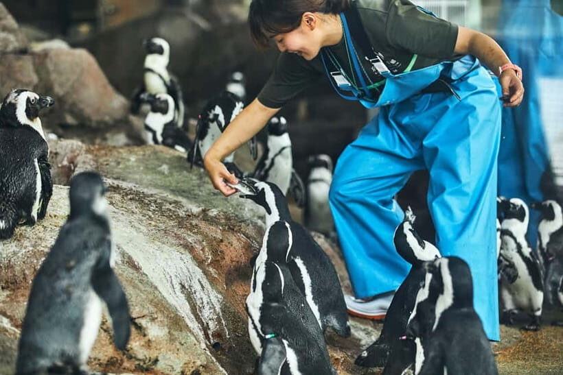 Kyoto Aquarium Admission Ticket - Visiting the Exhibits