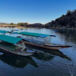 Kyoto: Arashiyama and Bamboo Forest Tour - Who Will Love This Tour?