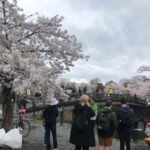 Kyoto Arashiyama Bamboo forest & Golden Pavilion E-Bike Tour - Frequently Asked Questions