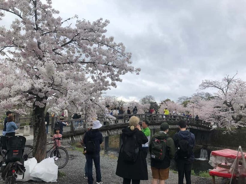 Kyoto Arashiyama Bamboo forest & Golden Pavilion E-Bike Tour - Frequently Asked Questions