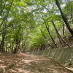 Kyoto: Arashiyama Bamboo Forest Hiking Tour - Practical Details and Tips