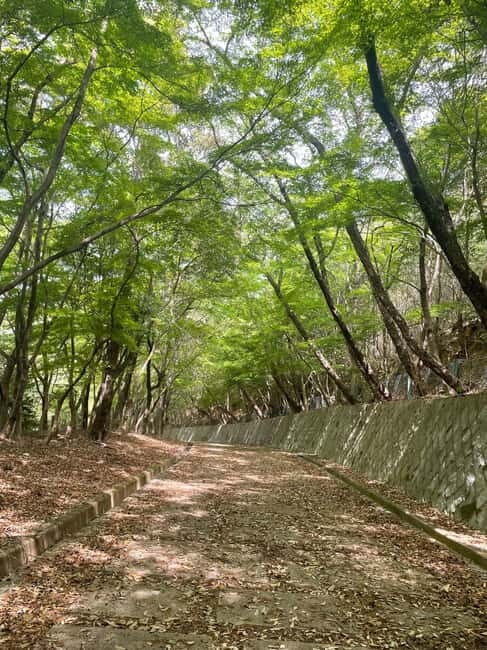 Kyoto: Arashiyama Bamboo Forest Hiking Tour - Practical Details and Tips