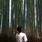 Kyoto: Arashiyama Bamboo Forest Tour with Wagashi Class - Practical Details and What It Means for You