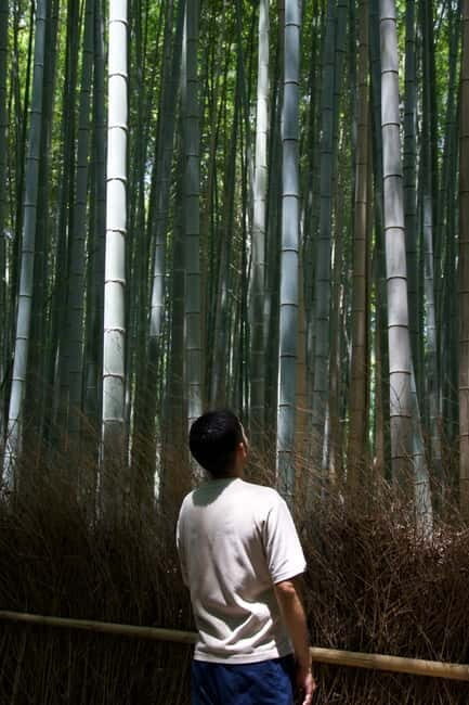 Kyoto: Arashiyama Bamboo Forest Tour with Wagashi Class - Practical Details and What It Means for You