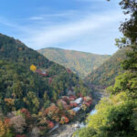 Kyoto: Arashiyama Guided Tour, Bamboo, Monkey, Zen Temple - A Detailed Look at the Itinerary