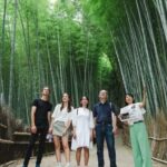 Kyoto: Arashiyama Walking Tour with Local Guide - Whats Included and Whats Not