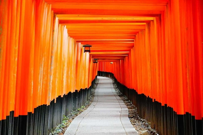 Kyoto: City Highlights Private Walking Tour - Why This Tour Works Well