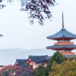 Kyoto: Customizable Full-Day Tour with Privarte Transfers - Final Thoughts