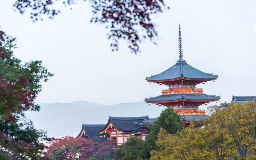 Kyoto: Customizable Full-Day Tour with Privarte Transfers - Final Thoughts
