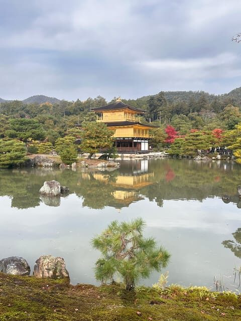 Kyoto: Discover Fushimi Inari, Kiyomizudera, and Yasaka Pagoda. - What Makes This Tour Special