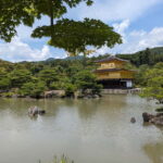 Kyoto: Discover Kinkaku-ji and Ginkaku-ji in One Tour - The Sum Up