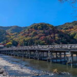 Kyoto Early Bird English Tour: Fushimi-Inari and Arashiyama - Who Will Love This Tour?