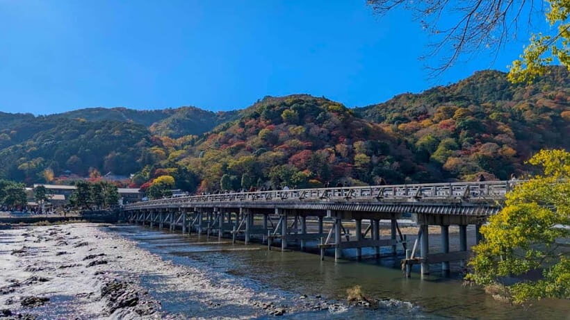 Kyoto Early Bird English Tour: Fushimi-Inari and Arashiyama - Who Will Love This Tour?