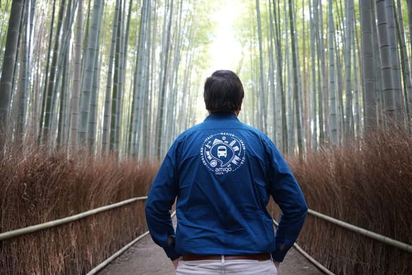 Kyoto: Full-Day Guided Bus Tour to Top Highlights & Tickets - What’s Included and What’s Not