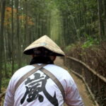 Kyoto: Full-Day Guided Tour of Kyoto's Top Highlights - The Value of the Tour