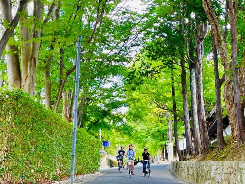 Kyoto: Fushimi Inari Shrine and Tofukuji Temple E-Bike Tour - What Makes This Tour Stand Out?