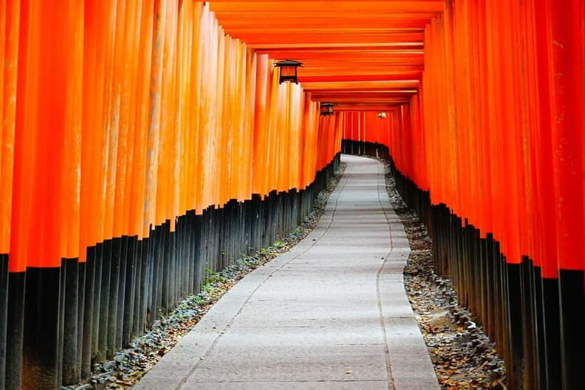 Kyoto: Fushimi Shrine, Bamboo Forest & Zen Temple Walk - Who Should Consider This Tour?