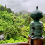 Kyoto: Gion District Walking with an Expert Local Tour Guide - Why This Tour Offers Great Value