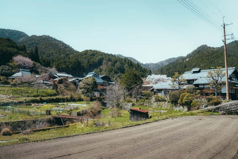 Kyoto: Hidden Gems and Local Neighborhoods - What You Can Expect from the Itinerary