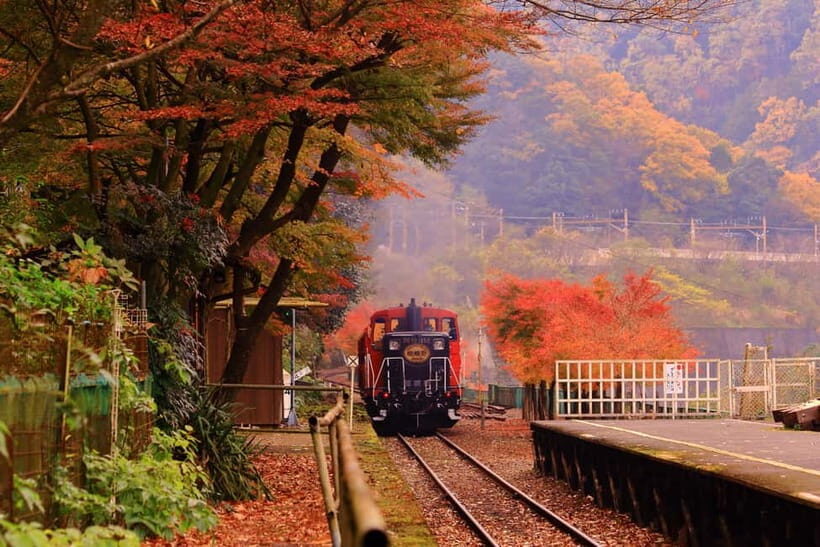 Kyoto: Hidden Gems Tour with Scenic Train Ride and Temples - What to Expect from the Tour