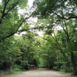 Kyoto: Kamigamo and Shimogamo Shrines Guided Tour 3h - Who Will Love This Tour?