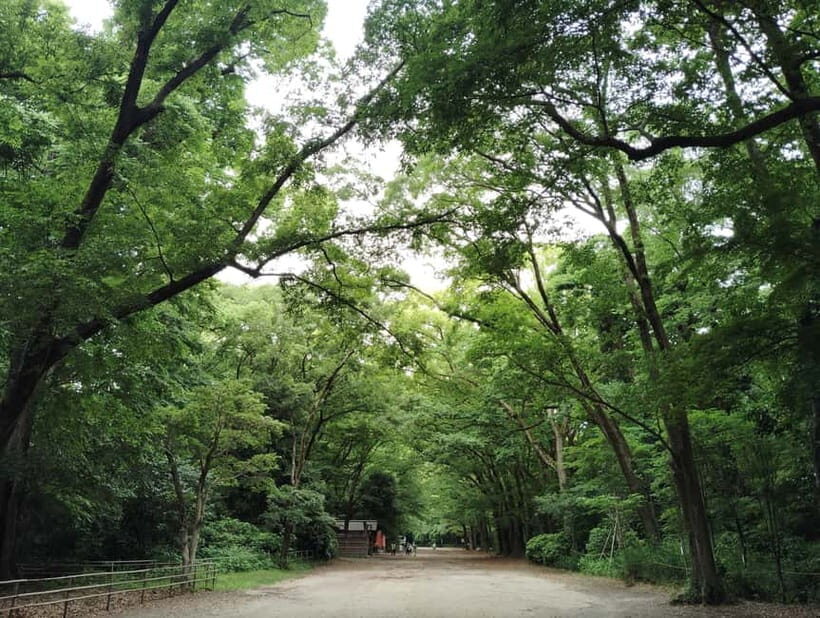 Kyoto: Kamigamo and Shimogamo Shrines Guided Tour 3h - Who Will Love This Tour?
