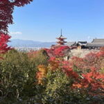 Kyoto: Kiyomizudera, Sanjusangendo, Ginkakuji, and Higashiyama. - What’s Included and What’s Not