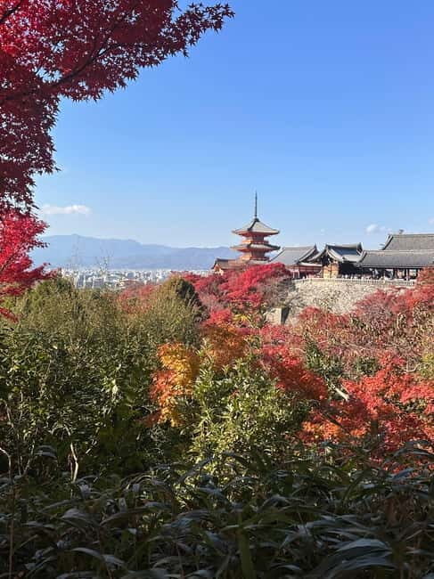 Kyoto: Kiyomizudera, Sanjusangendo, Ginkakuji, and Higashiyama. - What’s Included and What’s Not