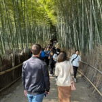 Kyoto: Kyoto Flexible Private Tour By Fluent English Driver - Introduction and Logistics