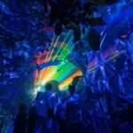 Kyoto: Light Cycles by Moment Factory with Yukata Rental - Who Will Love This Tour?