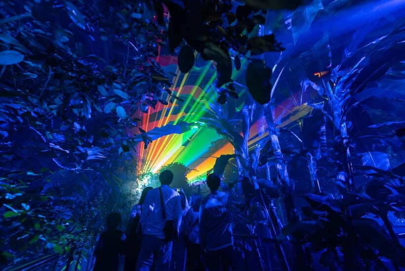 Kyoto: Light Cycles by Moment Factory with Yukata Rental - Who Will Love This Tour?