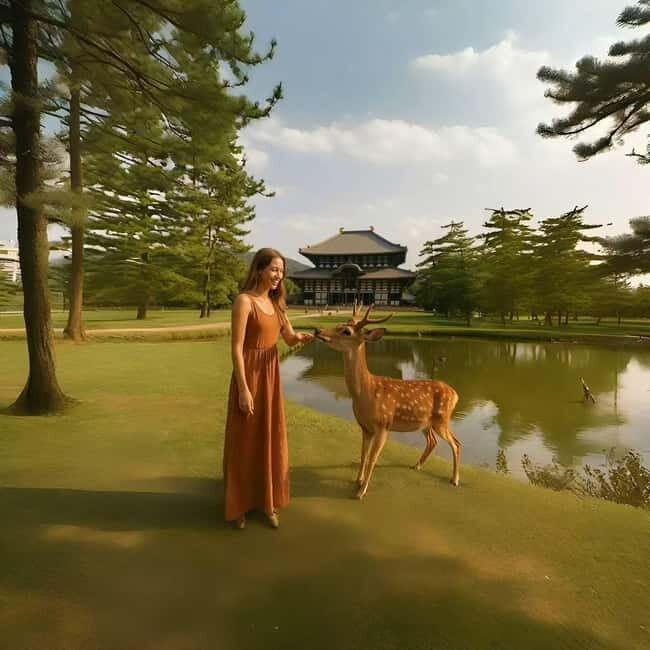 Kyoto & Nara Private Luxury Car Tour: Encounter with Deer - Who Should Consider This Tour?