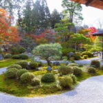 Kyoto: Ohara Village Private Tour with Hotel Pickup - Final Thoughts — Who Will Love This Tour?