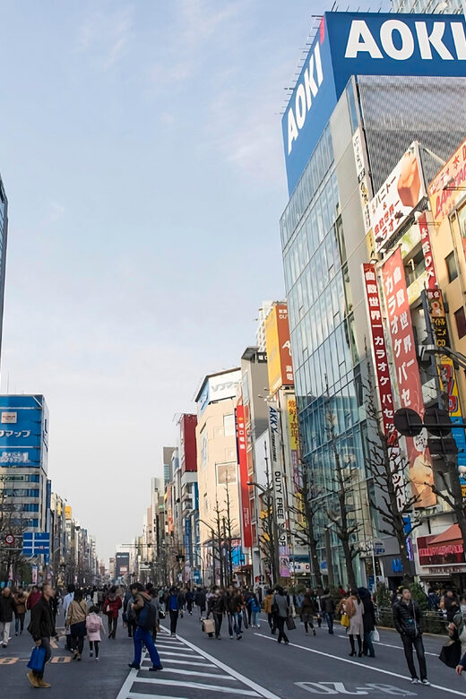 Kyoto/Osaka: Kobe & Himeji Journey Through Culture & History - Experience Quality and Challenges