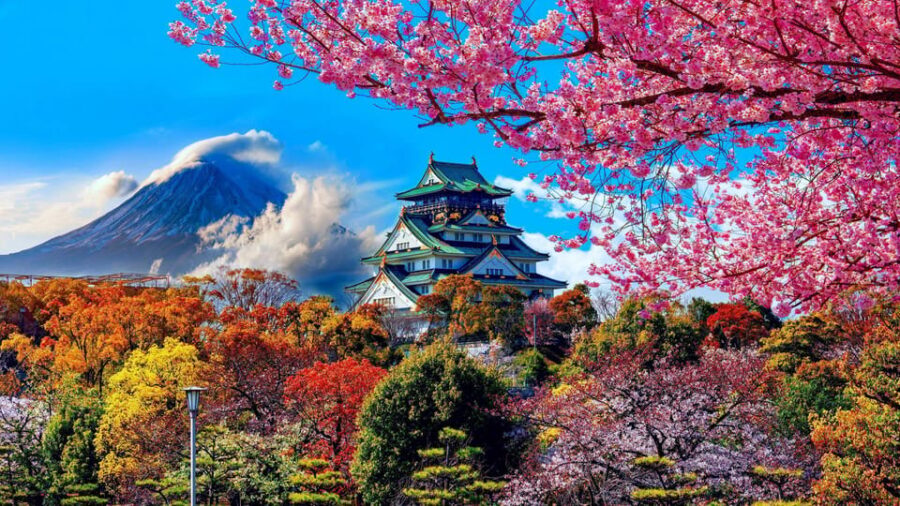Kyoto/Osaka/Nara Private Customized Tour with Guide - Who is this tour best suited for?