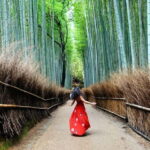 Kyoto: Private Customizable Day Tour with Guide and Vehicle - Why This Tour Offers Real Value