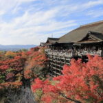 Kyoto: Private Guided Tour with a Brazilian Local Expert - What Travelers Say
