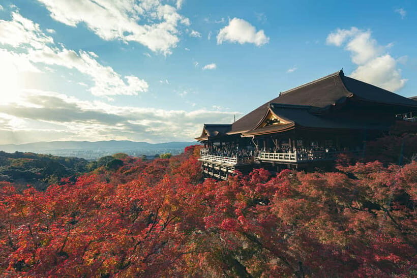 Kyoto private Luxury Vehicle TourClassic Route - Practical Details and Value