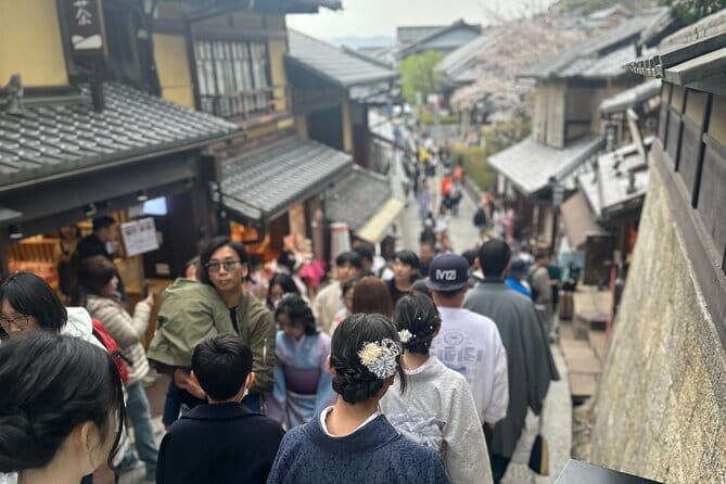 Kyoto private tour |english speaking driver only : No guide - Who Will Love This Tour?