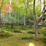 Kyoto: Quiet Arashiyama and Sagano Temples Guided Tour - Final Thoughts