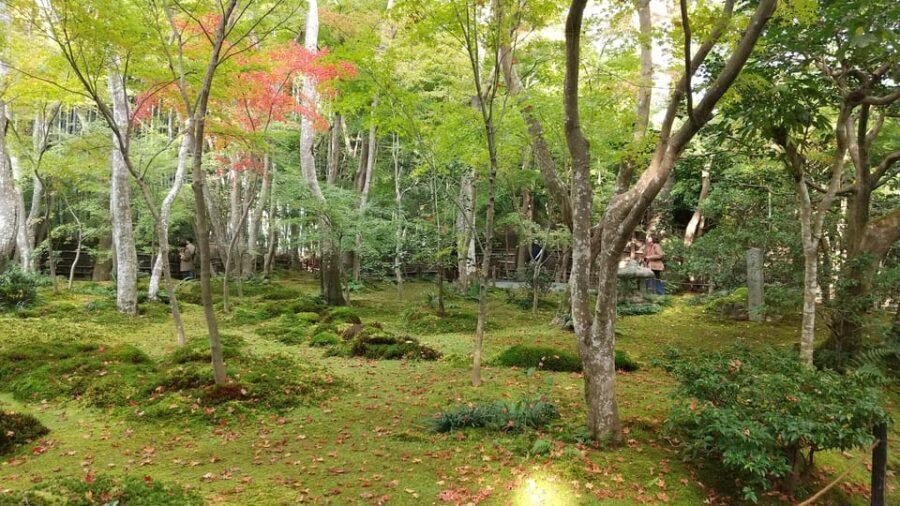 Kyoto: Quiet Arashiyama and Sagano Temples Guided Tour - Final Thoughts