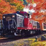 Kyoto Sagano Romantic Train in Arashiyama Bus Tour - The Cultural and Historical Stops