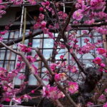 Kyoto: Silver Pavillion Guided Walking Tour - The Sum Up