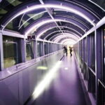 Kyoto: Station and Tower Night Tour with Light Show - Practical Details and What to Know Before You Go