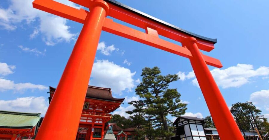 Kyoto: The best in one day. Private tour, licensed guide. - How the Tour Works: Logistics and Experience