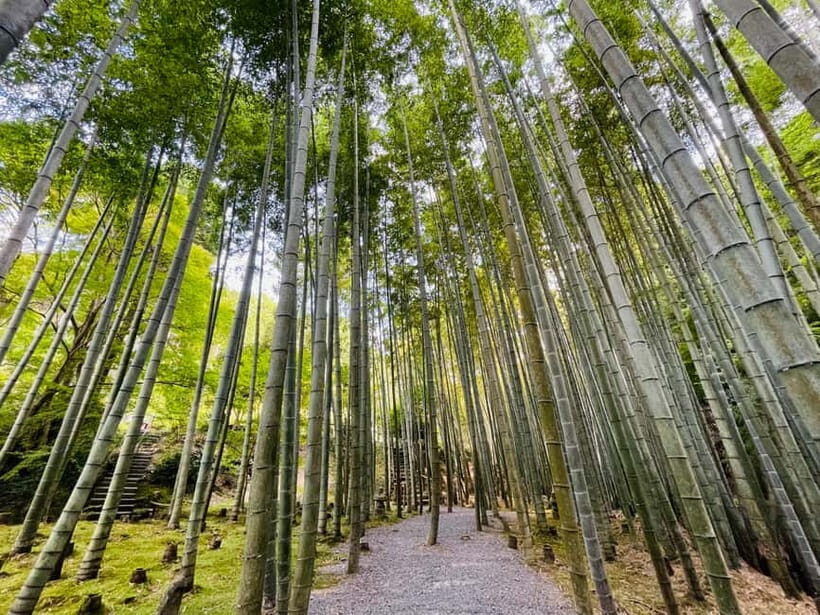 Kyoto : True Kyoto Avoid the crowds E-Bike Tour - What Could Be a Drawback