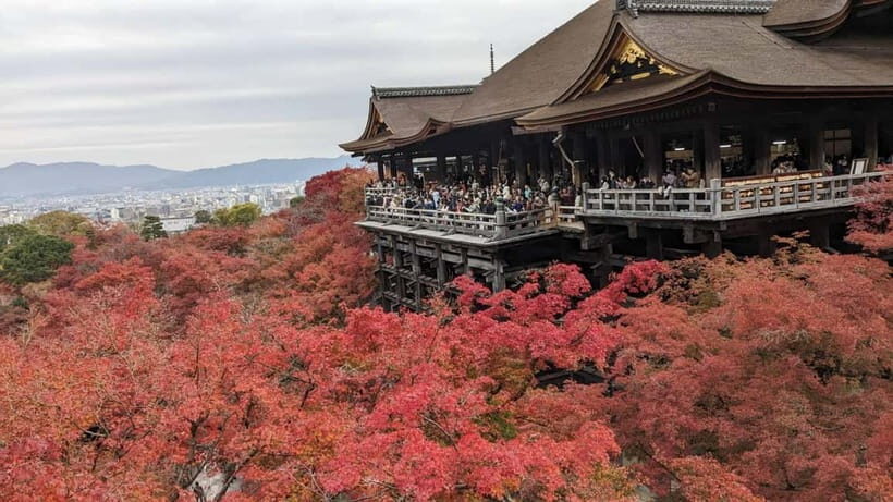 Kyoto: Walking tour Kiyomizu, Geisha District with a Local - An In-Depth Look at the Tour Experience