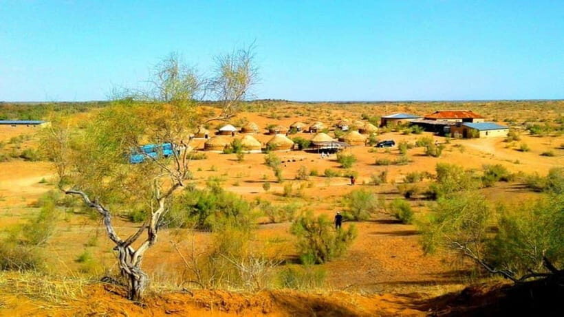 Kyzylkum Desert tour from Samarkand (1Night 2 Days) - The Good, the Bad, and the Practical